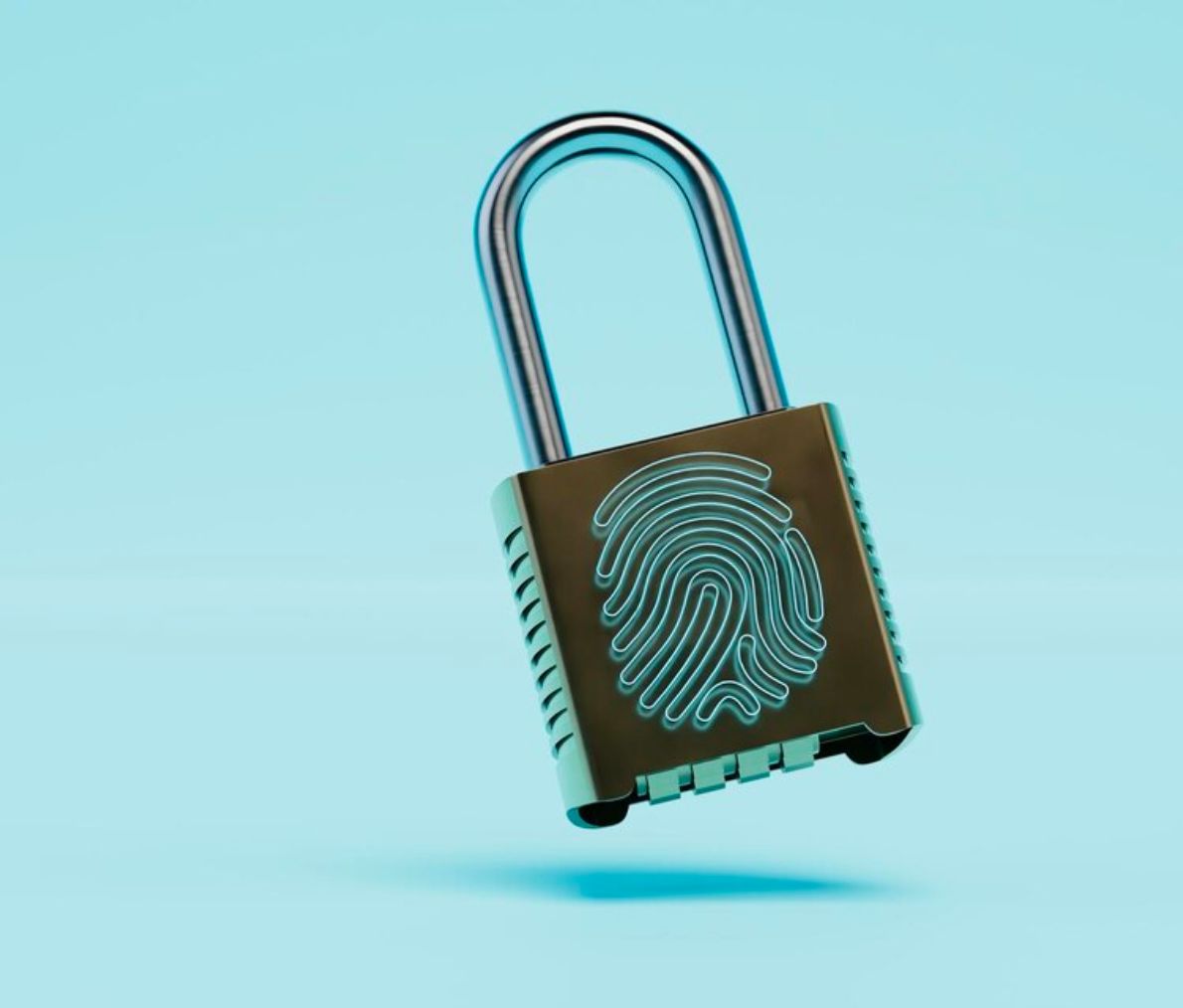 Top Notch, Top Notche, Top Notch T-Shirts, Top Notche T-Shirts